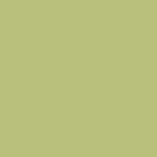HPL Formica F3007 Pale Olive MAT 3050x1300x0,7mm